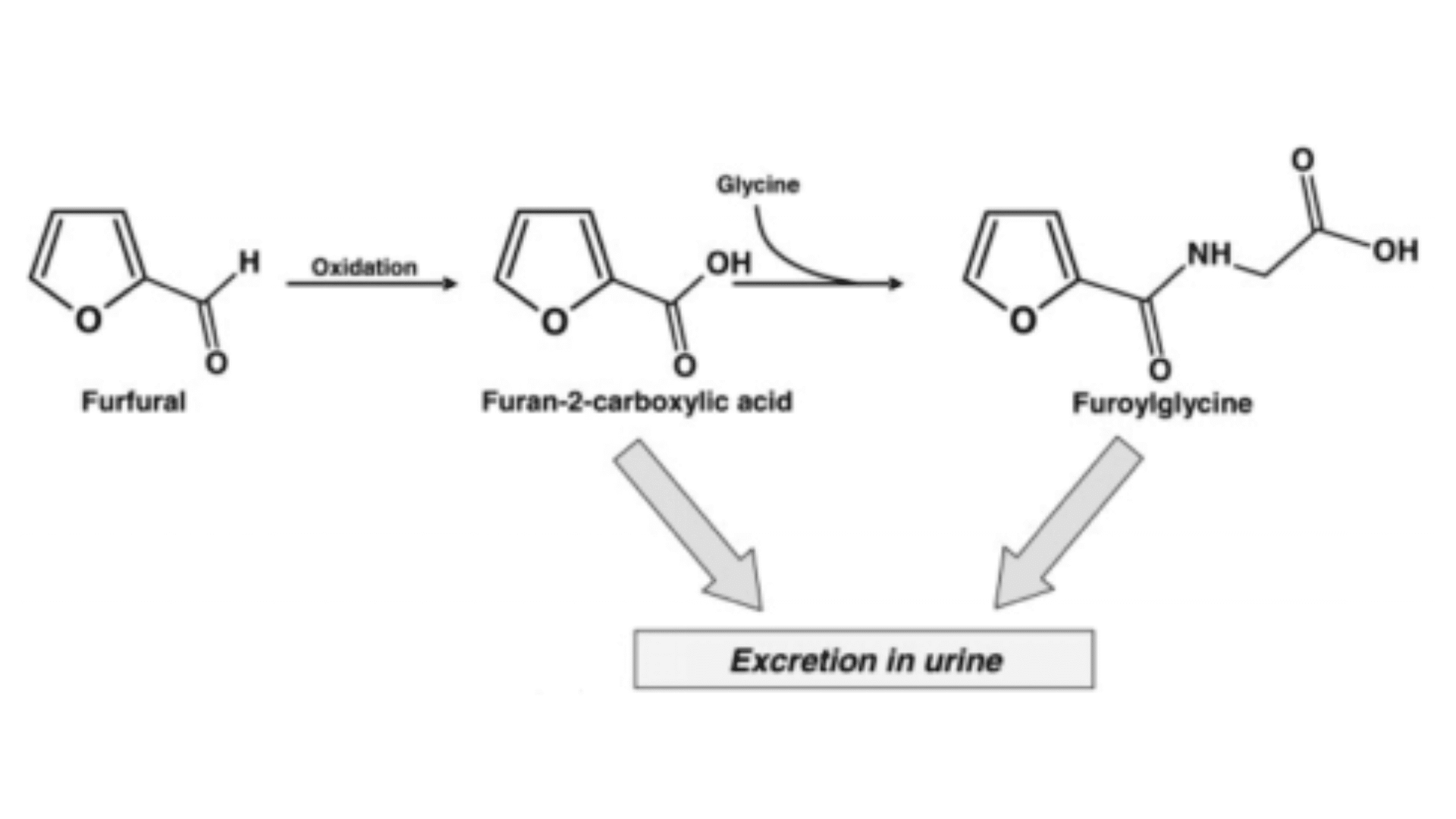 Mengenal Metabolit Furoic Acid pada Pajanan Furfural - Prodia OHI